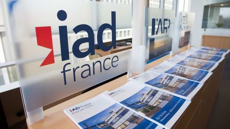 Avis IAD France : Une agence immobilière à la hauteur
